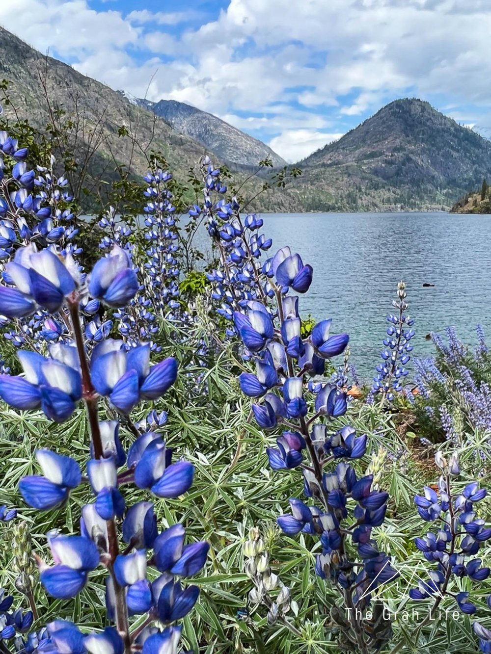 How to Backpack to Stehekin — The Grah Life