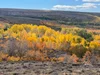 How to Camp on the Alvord Desert — The Grah Life