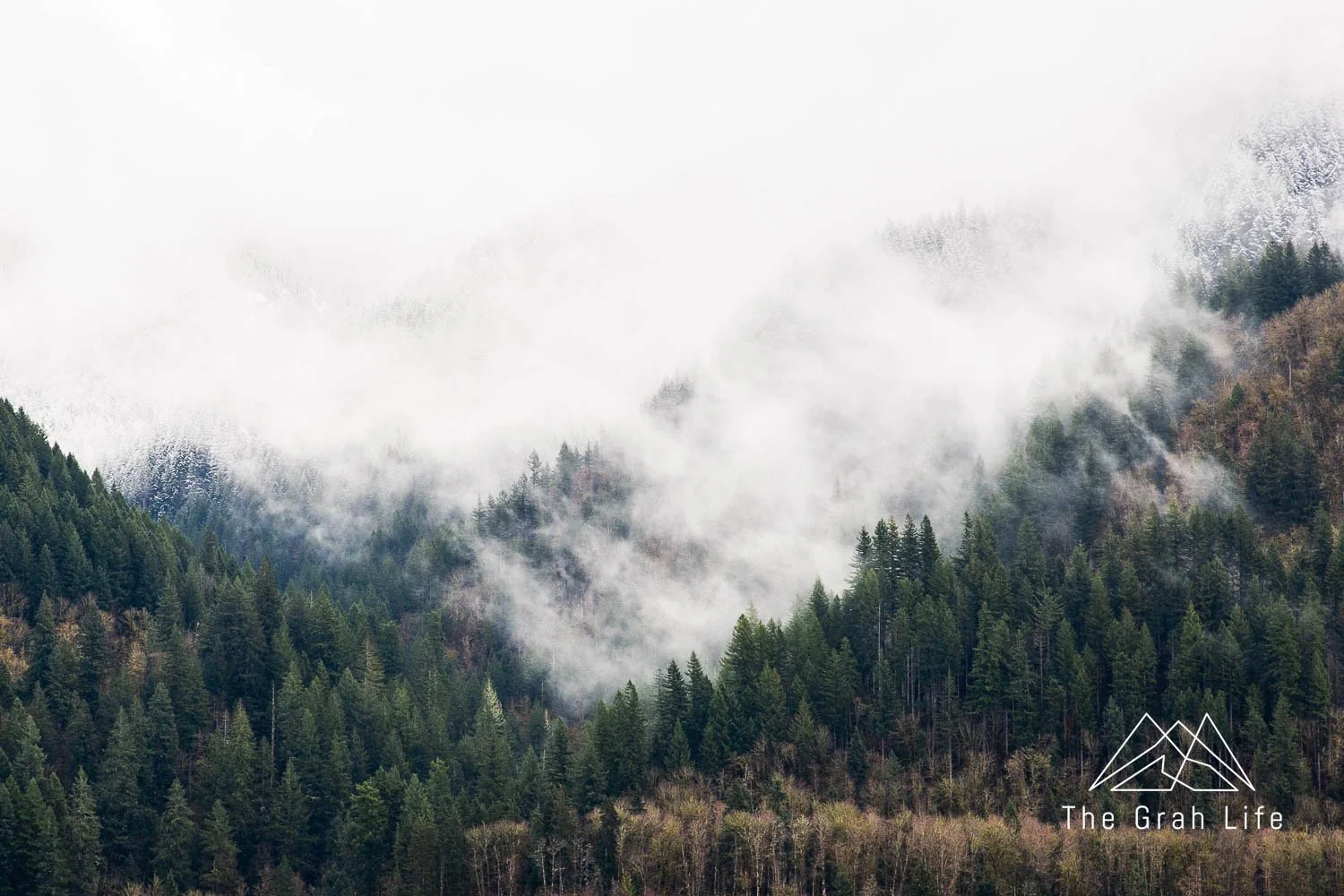 Mount St. Helens Activities — The Grah Life