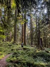 Enchanted Valley Backpacking — The Grah Life