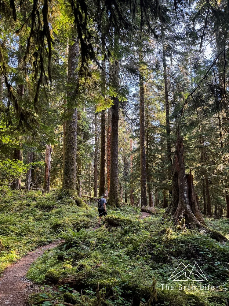 Enchanted Valley Backpacking — The Grah Life