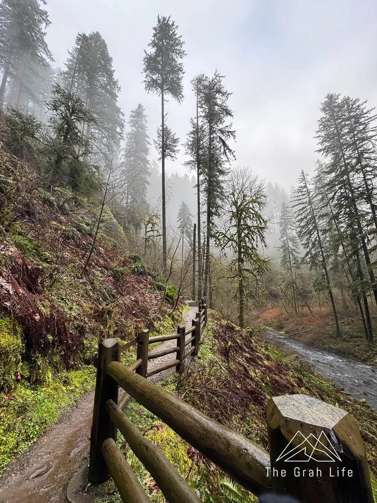 Silver Falls State Park: Everything You Need to Know — The Grah Life