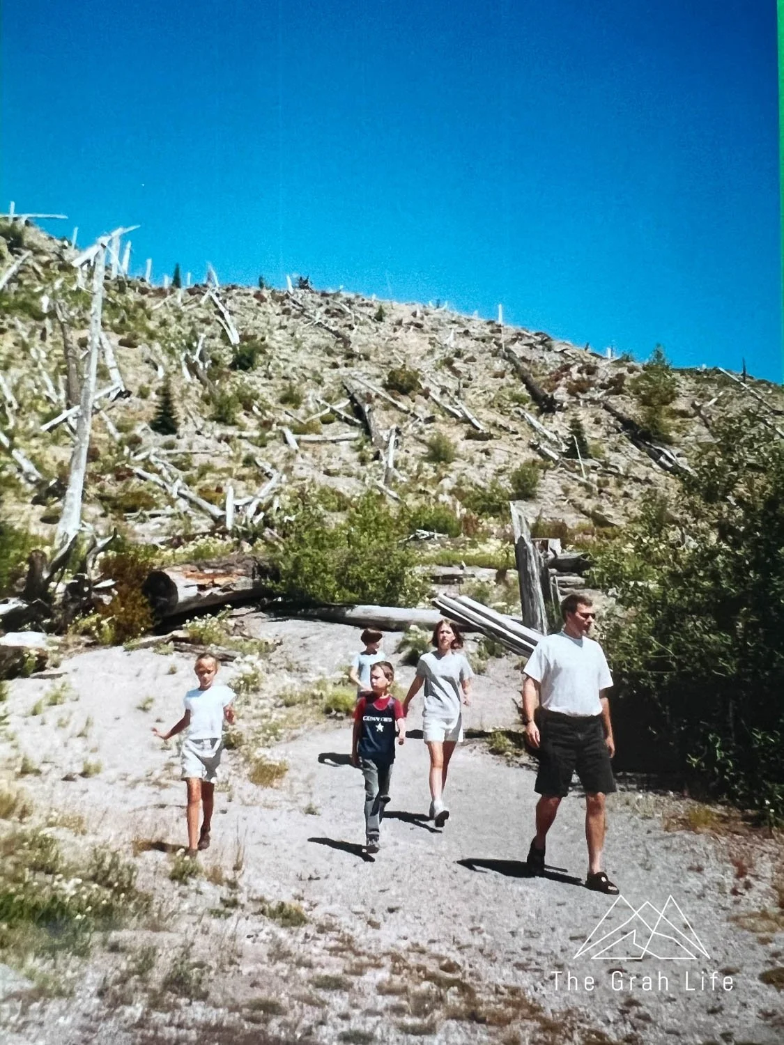 Mount St. Helens Activities — The Grah Life