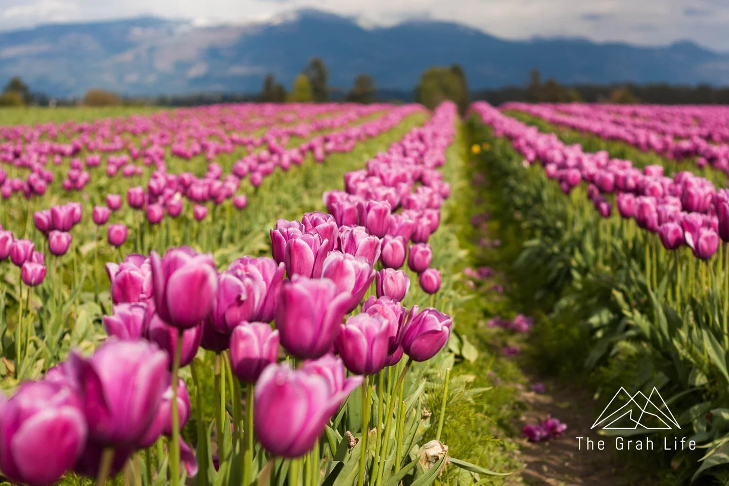 The Ultimate Cascade Loop Itinerary — The Grah Life