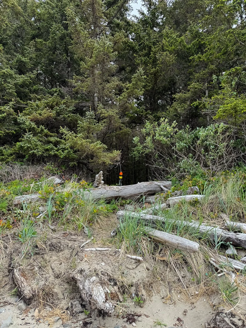 How to Backpack the Ozette Triangle — The Grah Life
