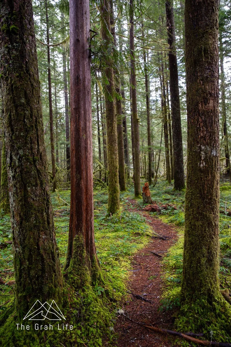 5 One-Day Washington Waterfall Road Trip Guides — The Grah Life