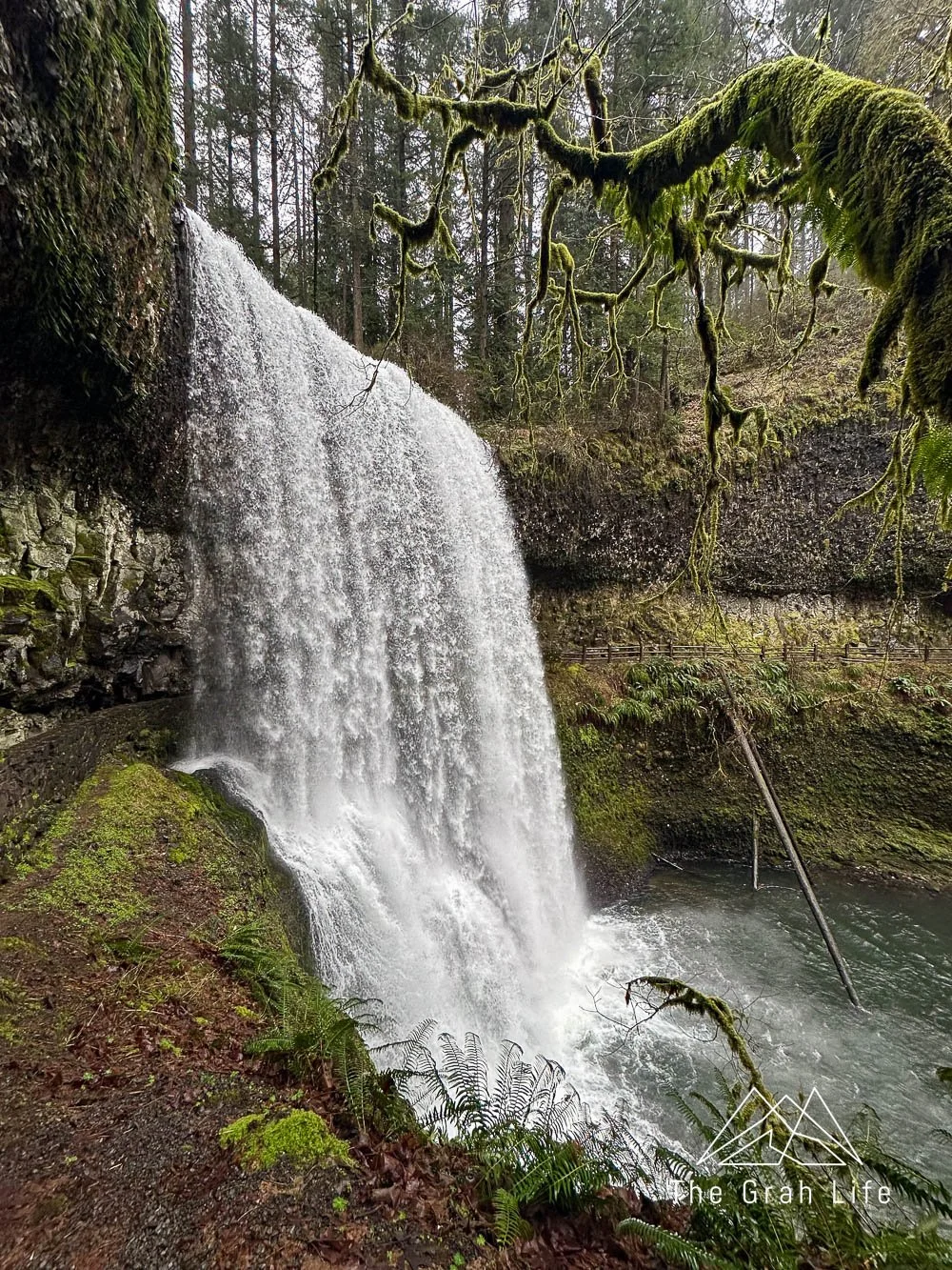 Silver Falls State Park: Everything You Need to Know — The Grah Life