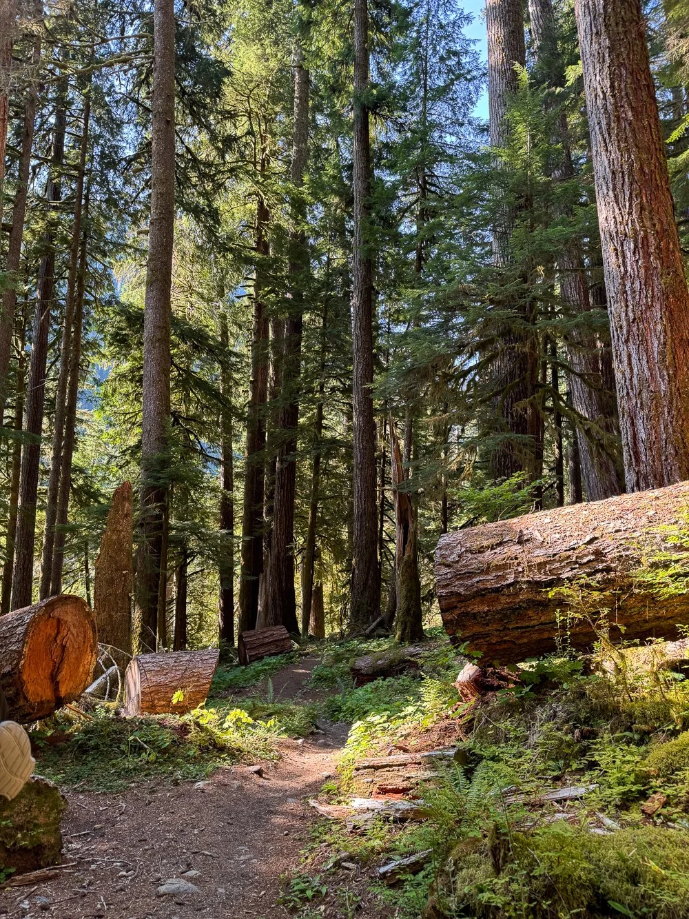 Enchanted Valley Backpacking — The Grah Life