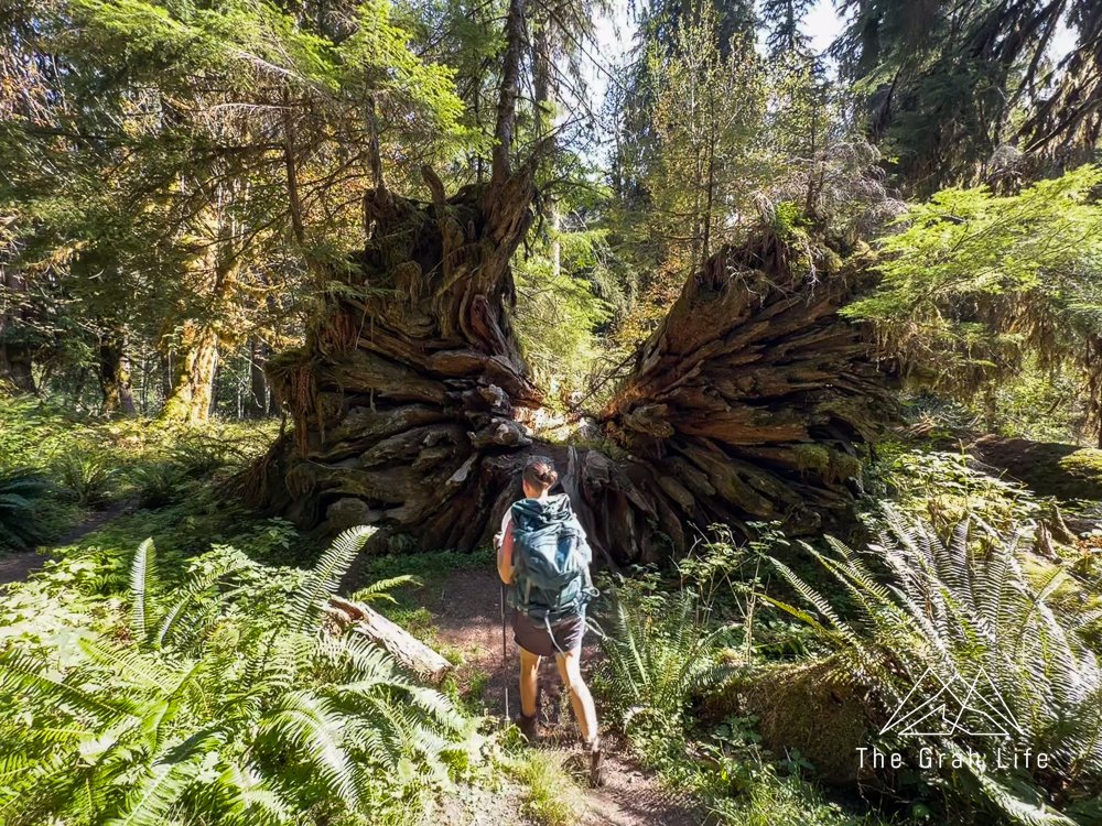 Enchanted Valley Backpacking — The Grah Life