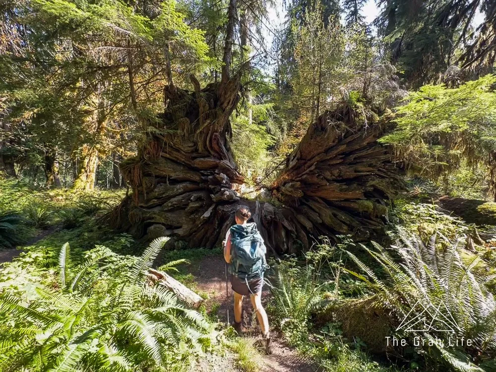 Enchanted Valley Backpacking — The Grah Life