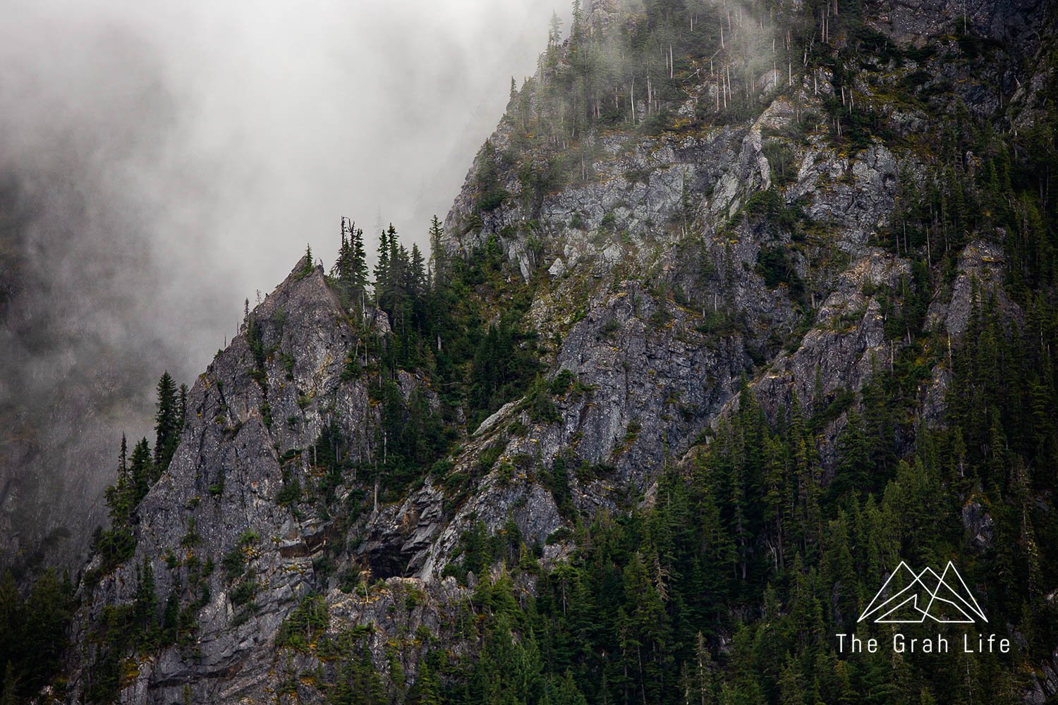 Mount Rainier National Park Itinerary (From Locals) — The Grah Life