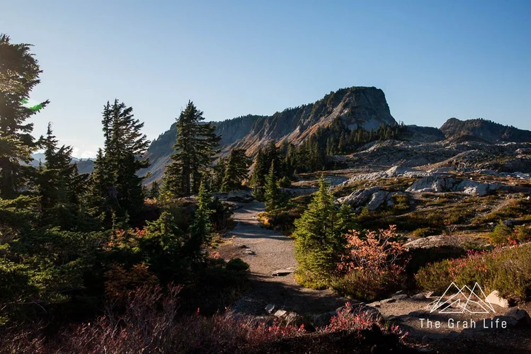 Mount Baker Road Trip (Sights, Hikes, and Activities) — The Grah Life