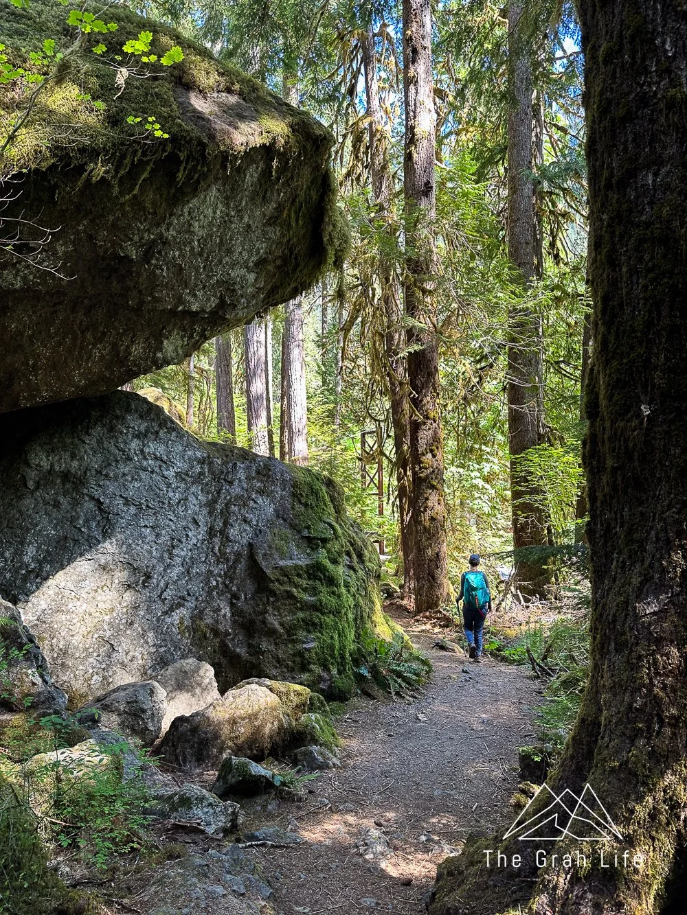 Where to Camp in the Olympic National Park — The Grah Life