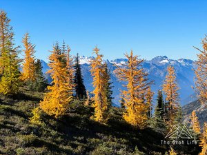 The Ultimate Cascade Loop Itinerary — The Grah Life