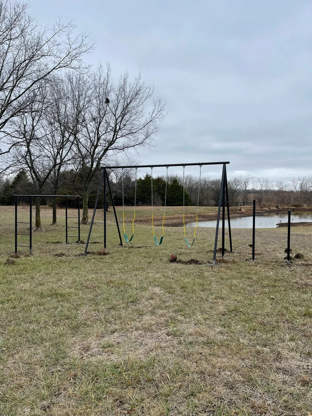 Real Steel Swing Sets