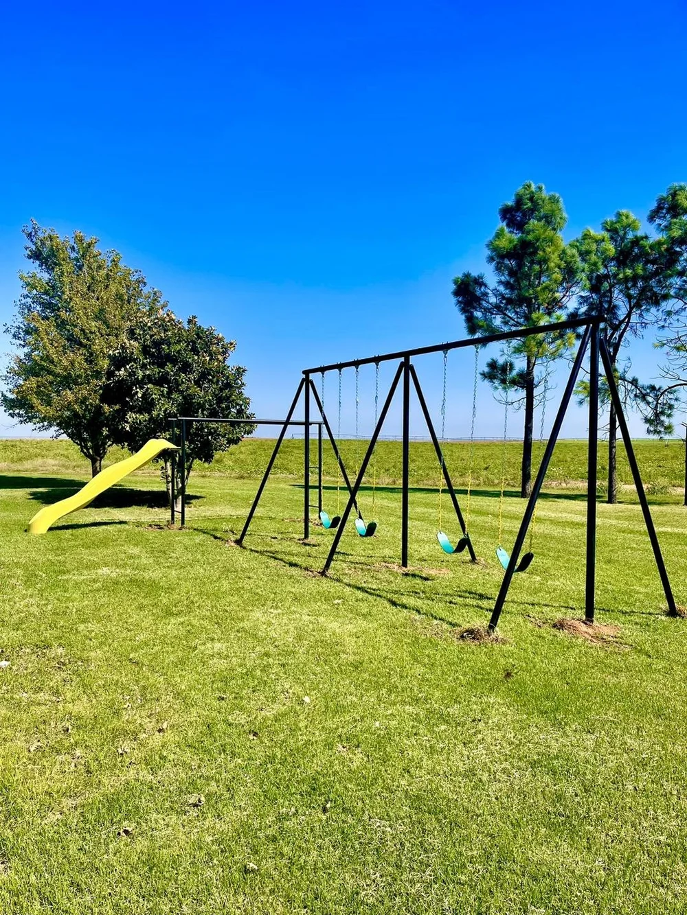 Real Steel Swing Sets