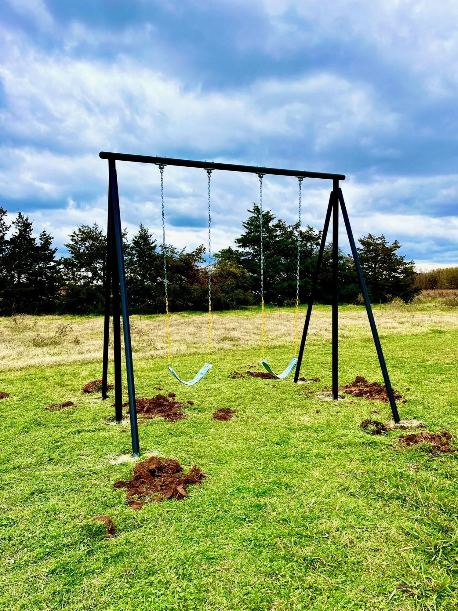 Real Steel Swing Sets