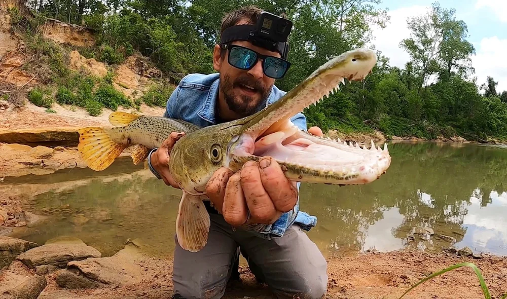 The “Wild Life” with Payton Moore — Gayne C. Young