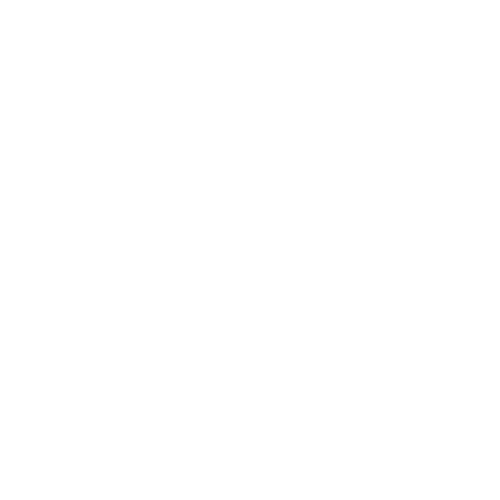 LITTLE SOUTHERN MICRO WEDDINGS