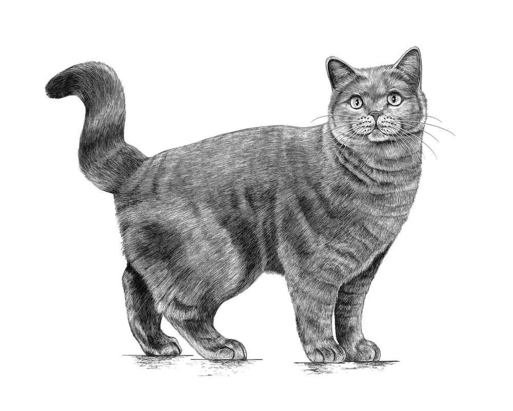 Media: Films — Jonathan B. Losos