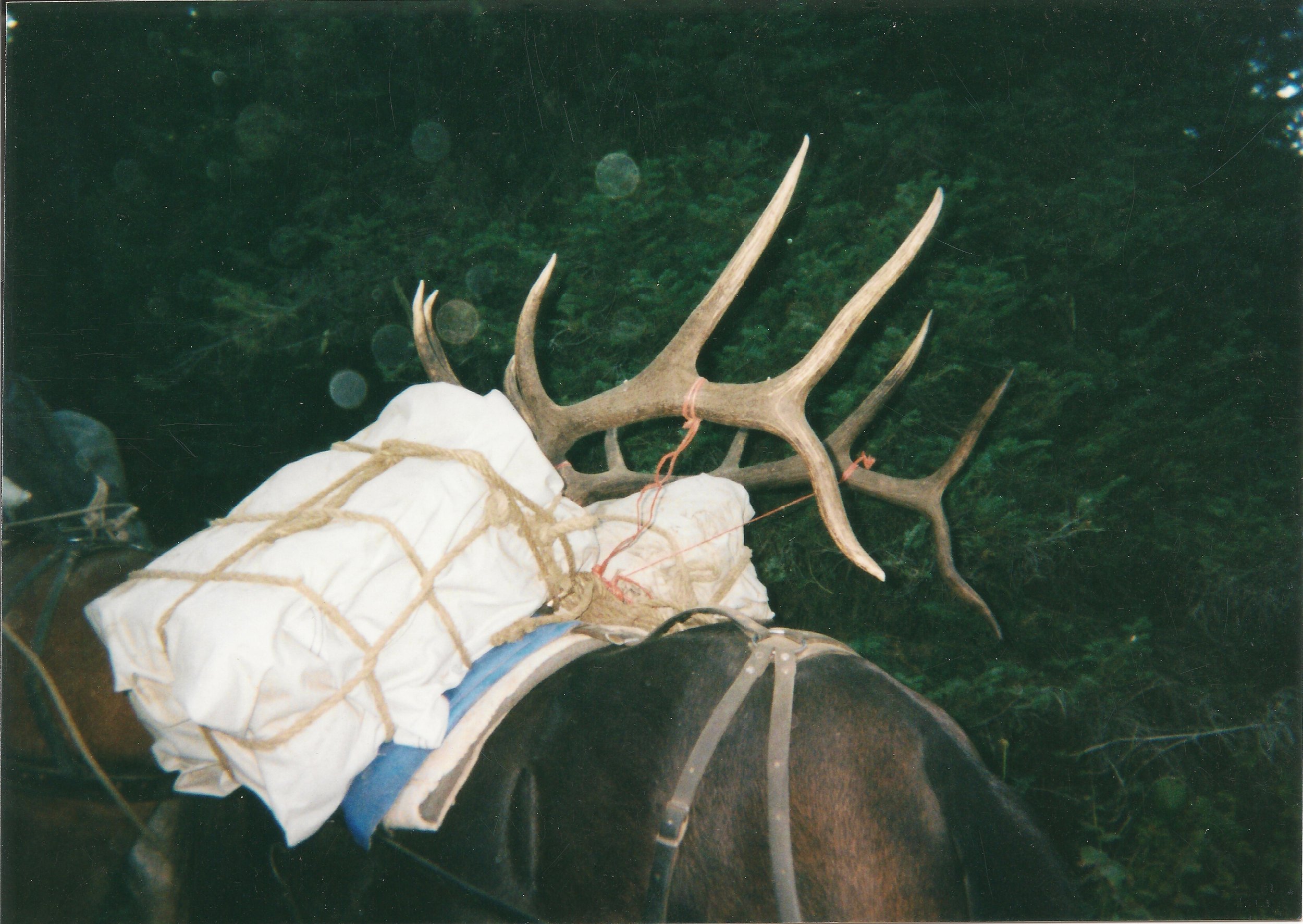 CLEARWATER OUTFITTERS