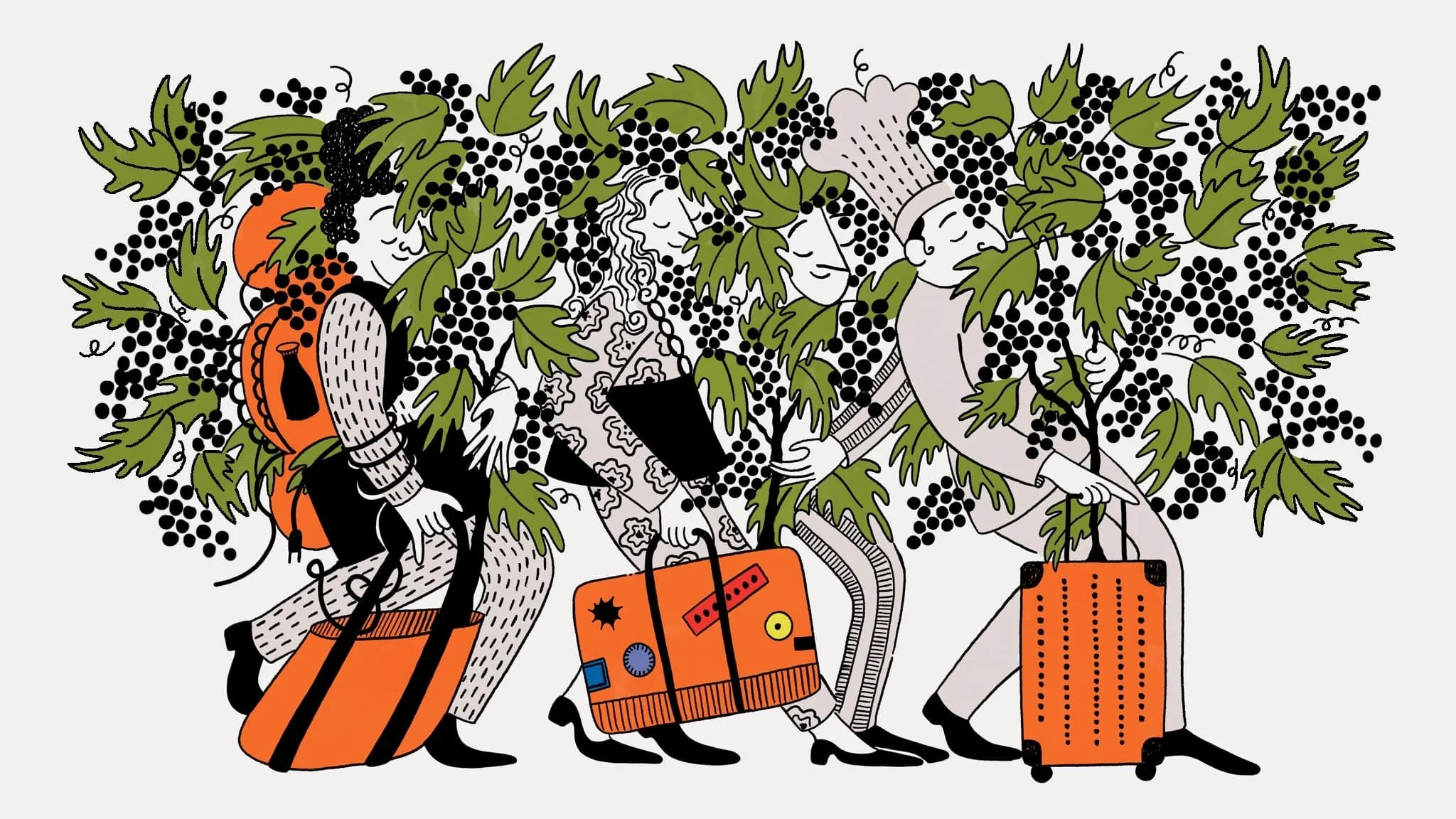 Debora Szpilman: The Artistic Talent Behind Jancis Robinson's Wine ...