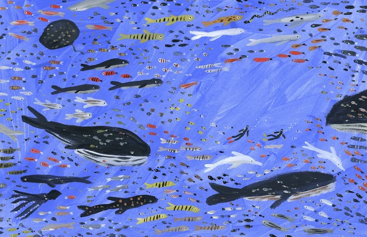 Marc Majewski — Dutch Uncle • Artist Management