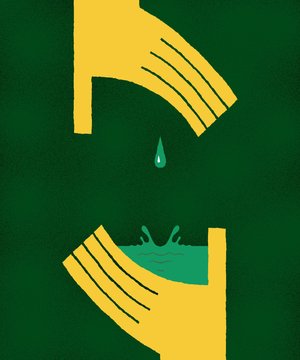 Adam McCauley | Illustrator — DUTCH UNCLE