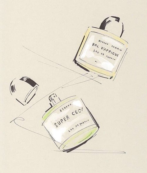 Yoco Nagamiya → Illustrations — DUTCH UNCLE