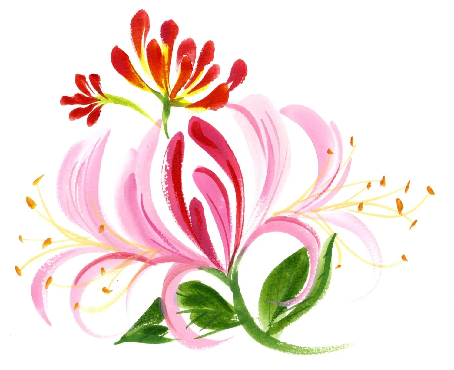 YOCO | Fashion Illustrator — DUTCH UNCLE