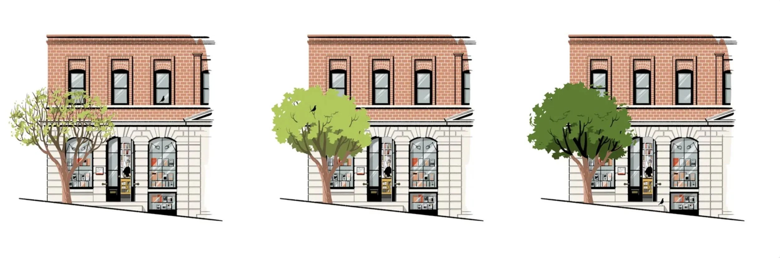 A Bookstore Reimagined: Japanese Illustrator Satoshi Hashimoto and ...