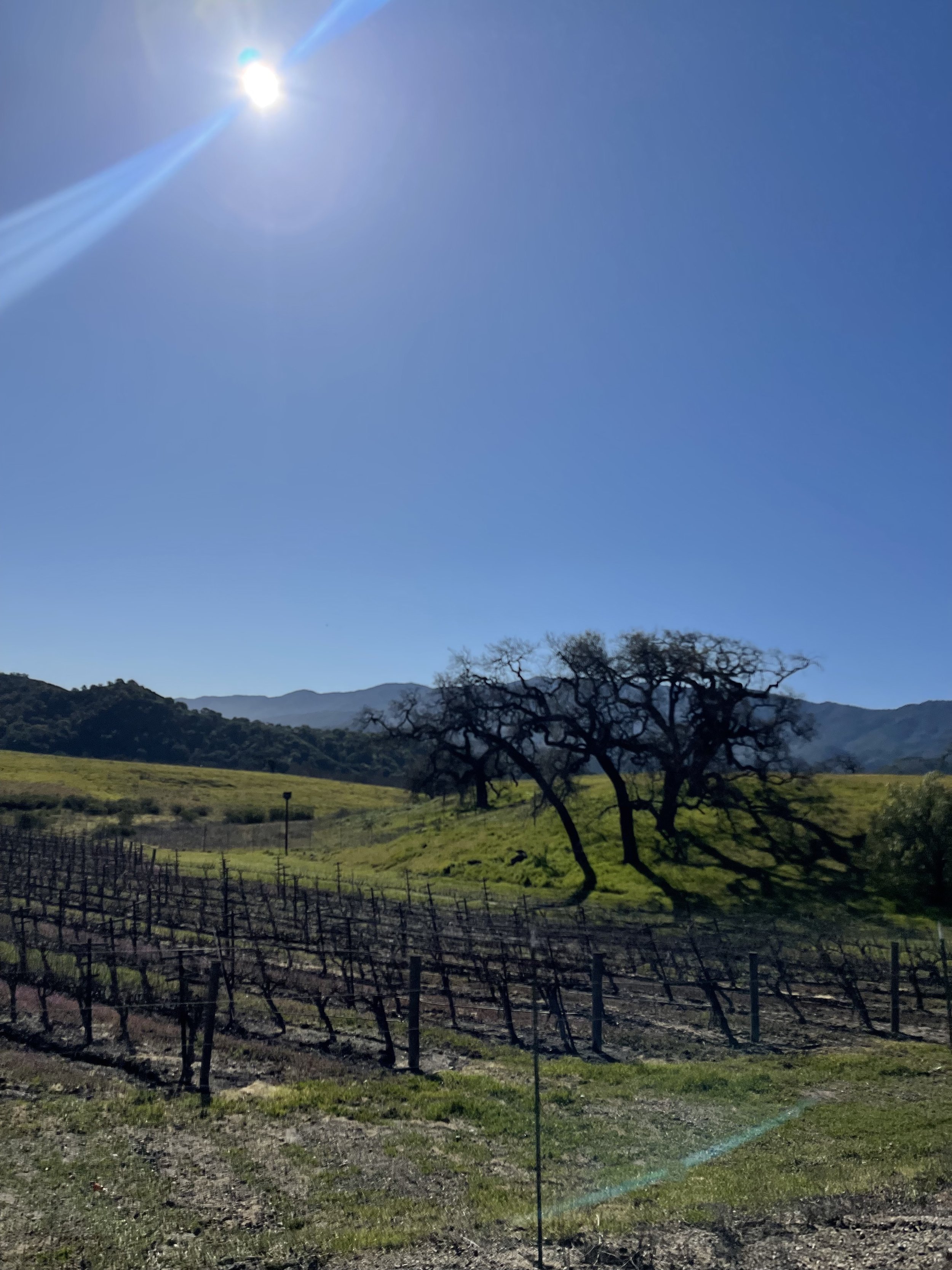 MICHAEL FERREE - THE EMPOWERED MAN LIFE COACHING