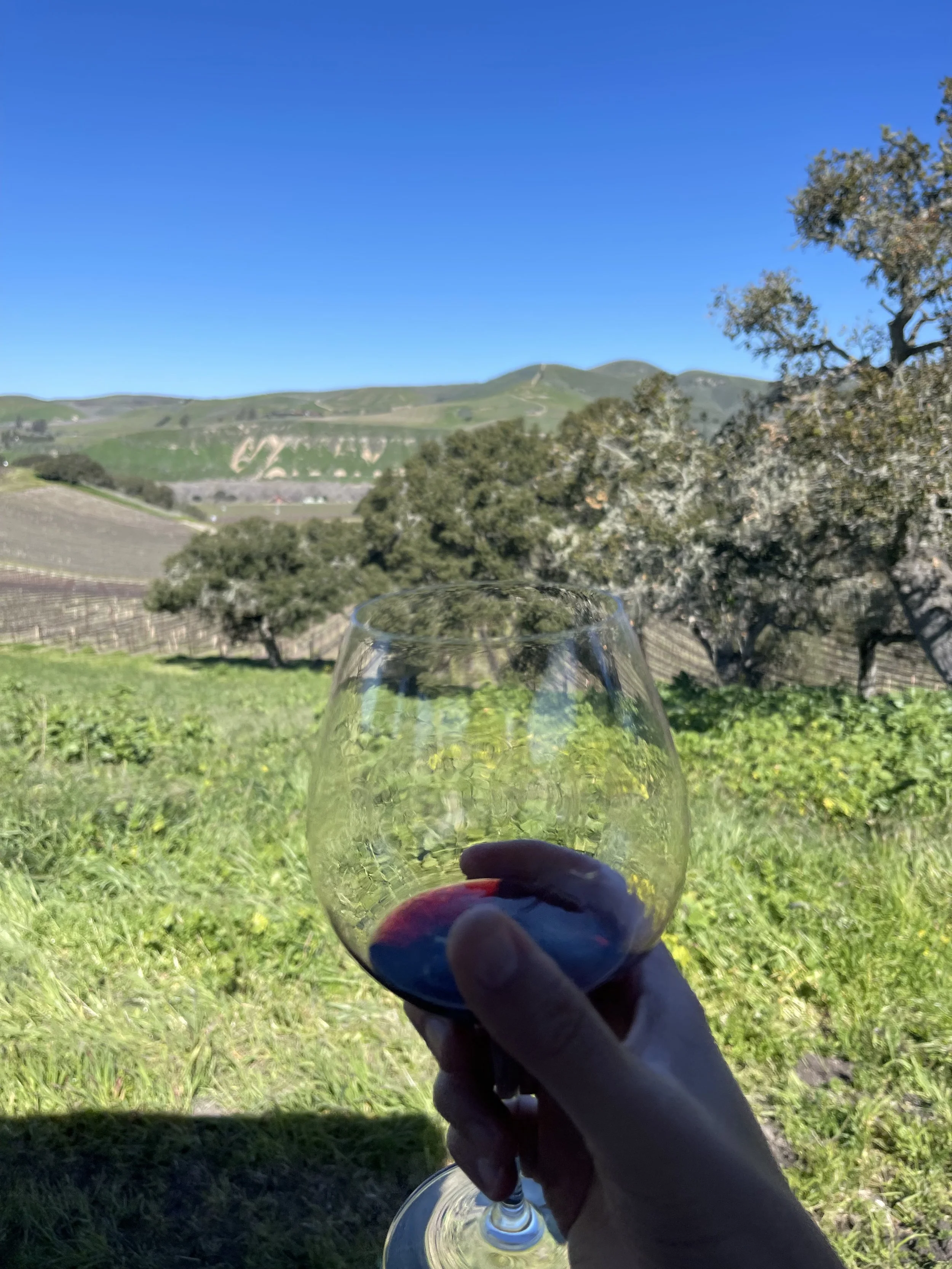 MICHAEL FERREE - THE EMPOWERED MAN LIFE COACHING