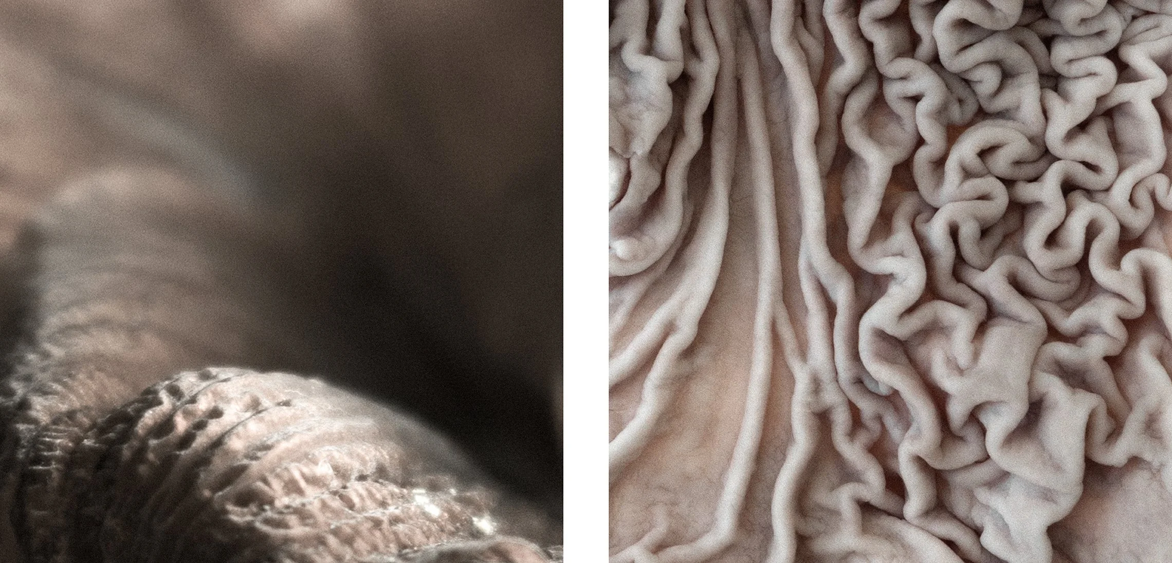 we are all connected