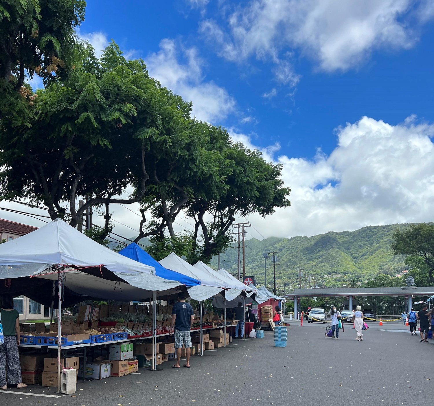 Local Farms & Markets — Hawaii Currents | A Guide for Modern-Day Honolulu