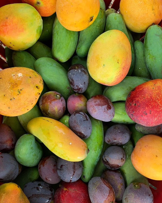 Exploring Hawaiian Fruits and Flora — Hawaii Currents | A Guide for ...