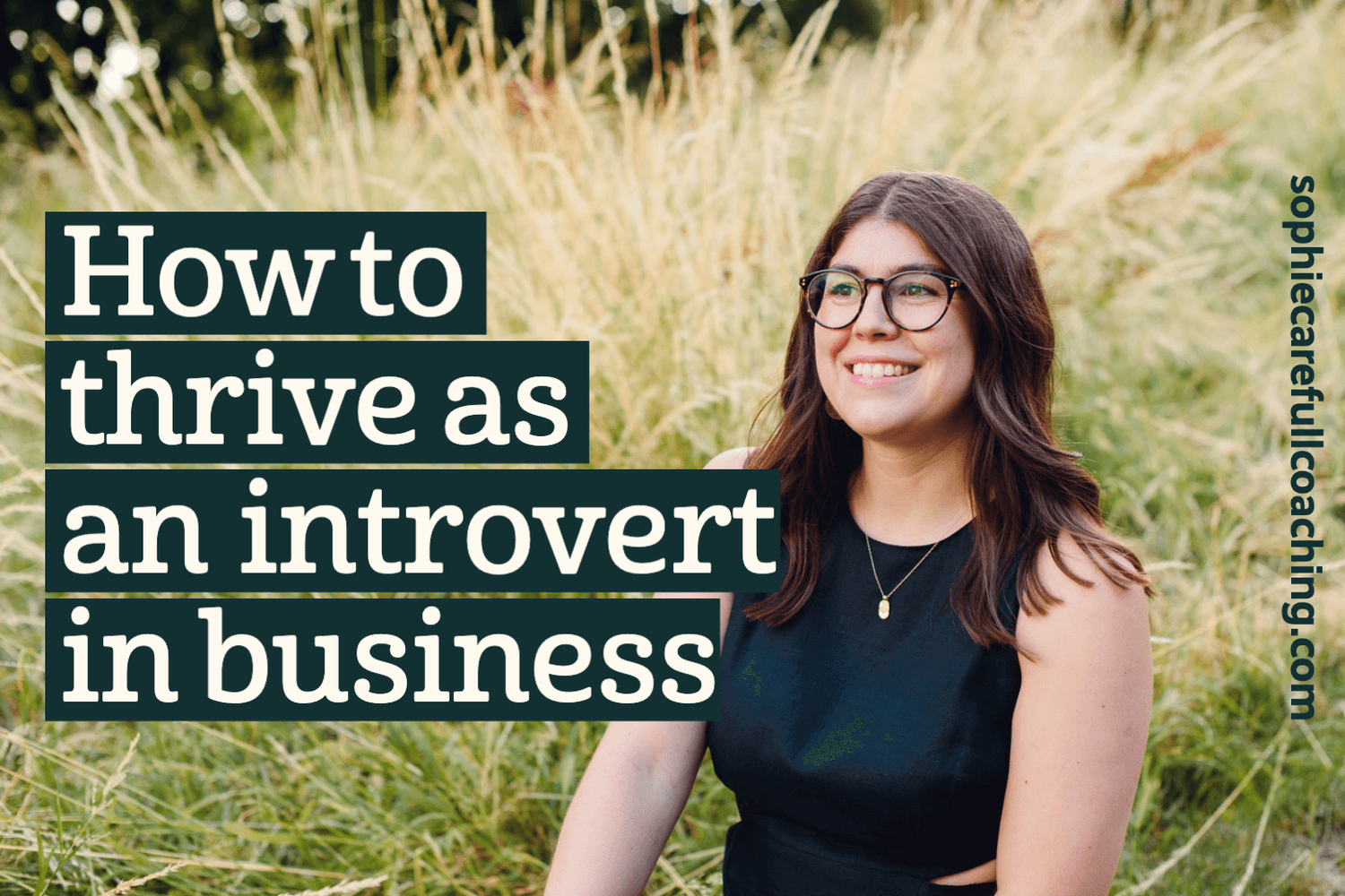 How to thrive as an introvert in business — Sophie Carefull Coach for Introverts