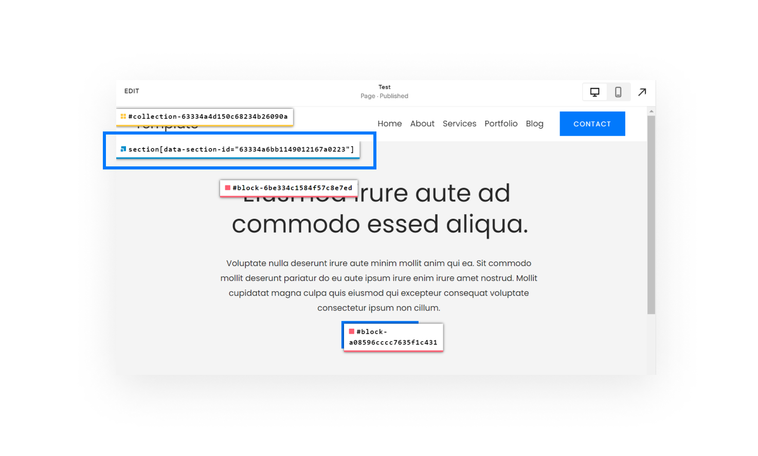 How to Target Sections with Custom CSS on Squarespace 7.1 — Untitled Site