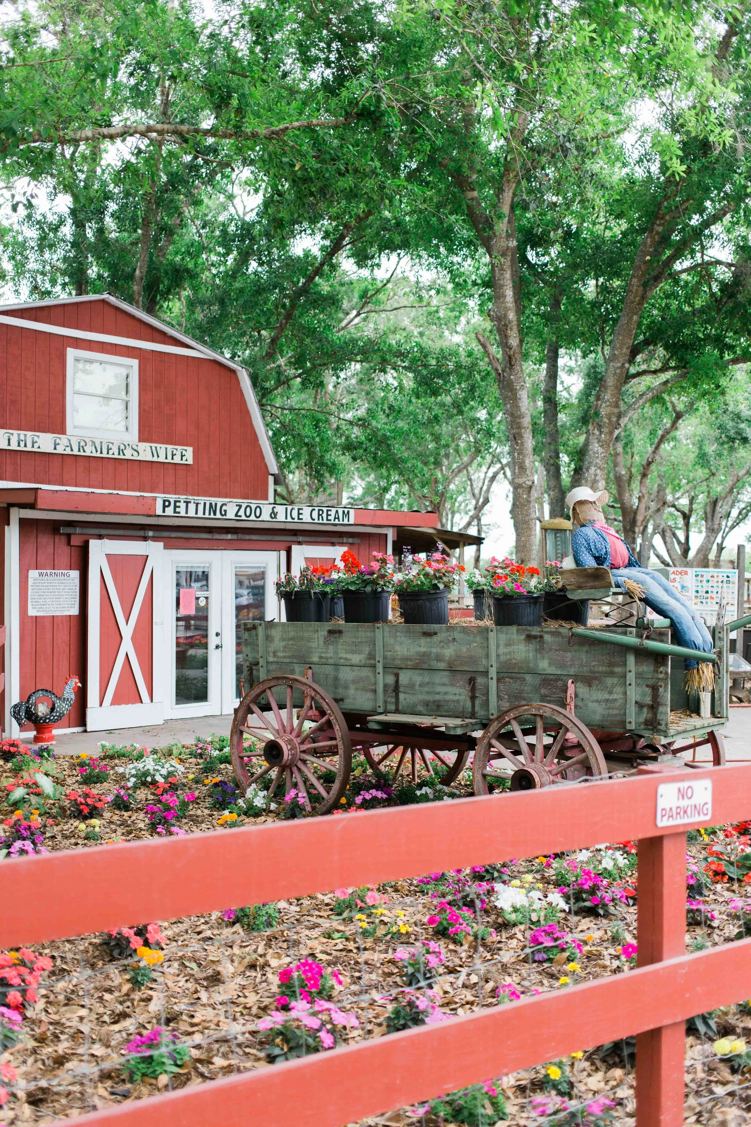 Hunsader Farms Polaroid Tour With My Son — Mused Photo