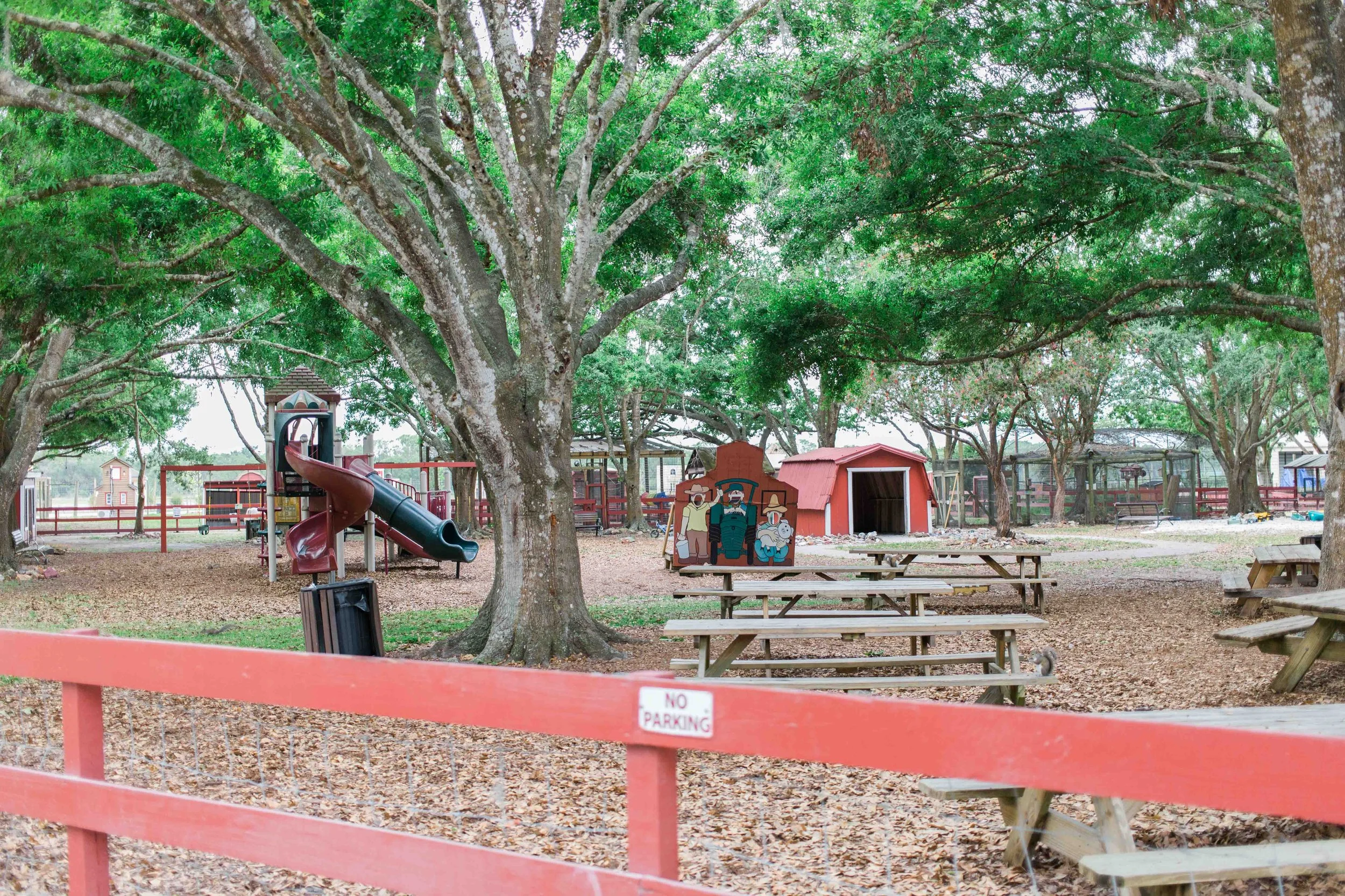Hunsader Farms Polaroid Tour With My Son — Mused Photo