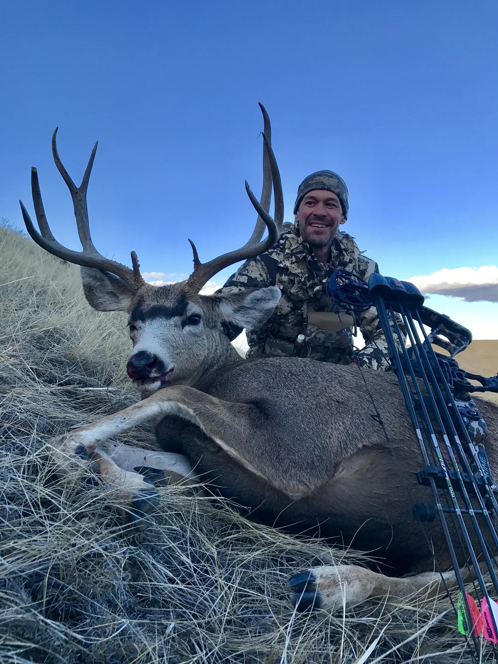 Mule Deer — Primitive Outfitting - Trophy Black Bear & Moose Hunts in Canada