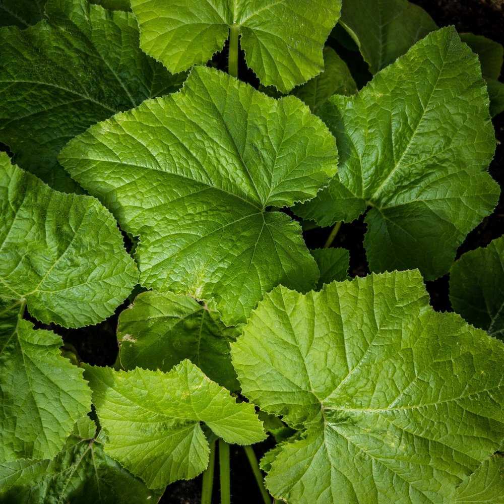 Geosource | Products — Geosource Inc.