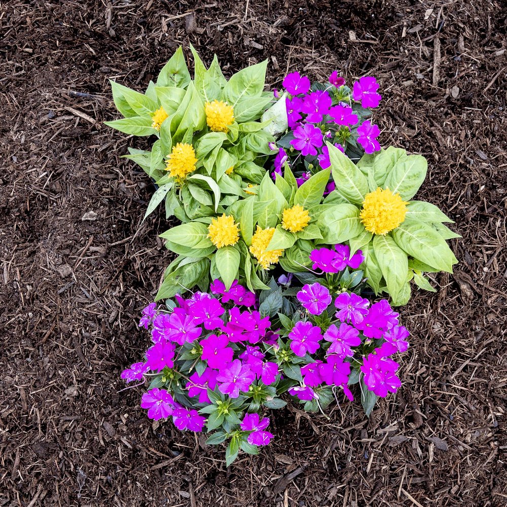 Geosource | Products — Geosource Inc.