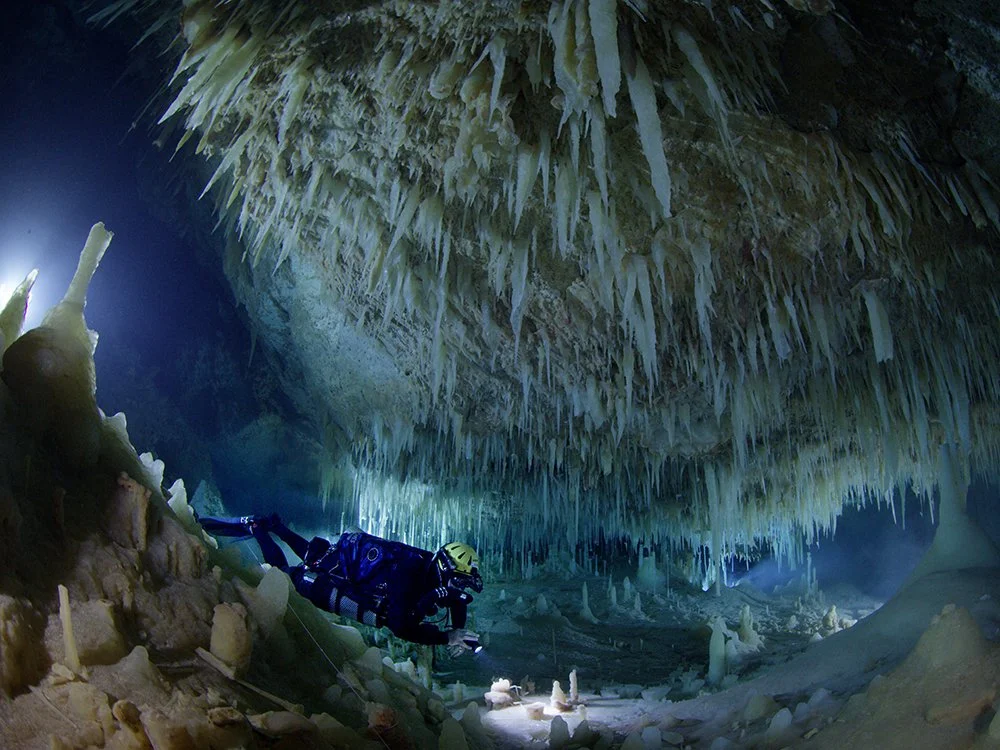 MacGillivray Freeman's Journey Into Amazing Caves with Special Guests ...