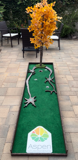 Custom Builds — SD Pop Up Mini Golf