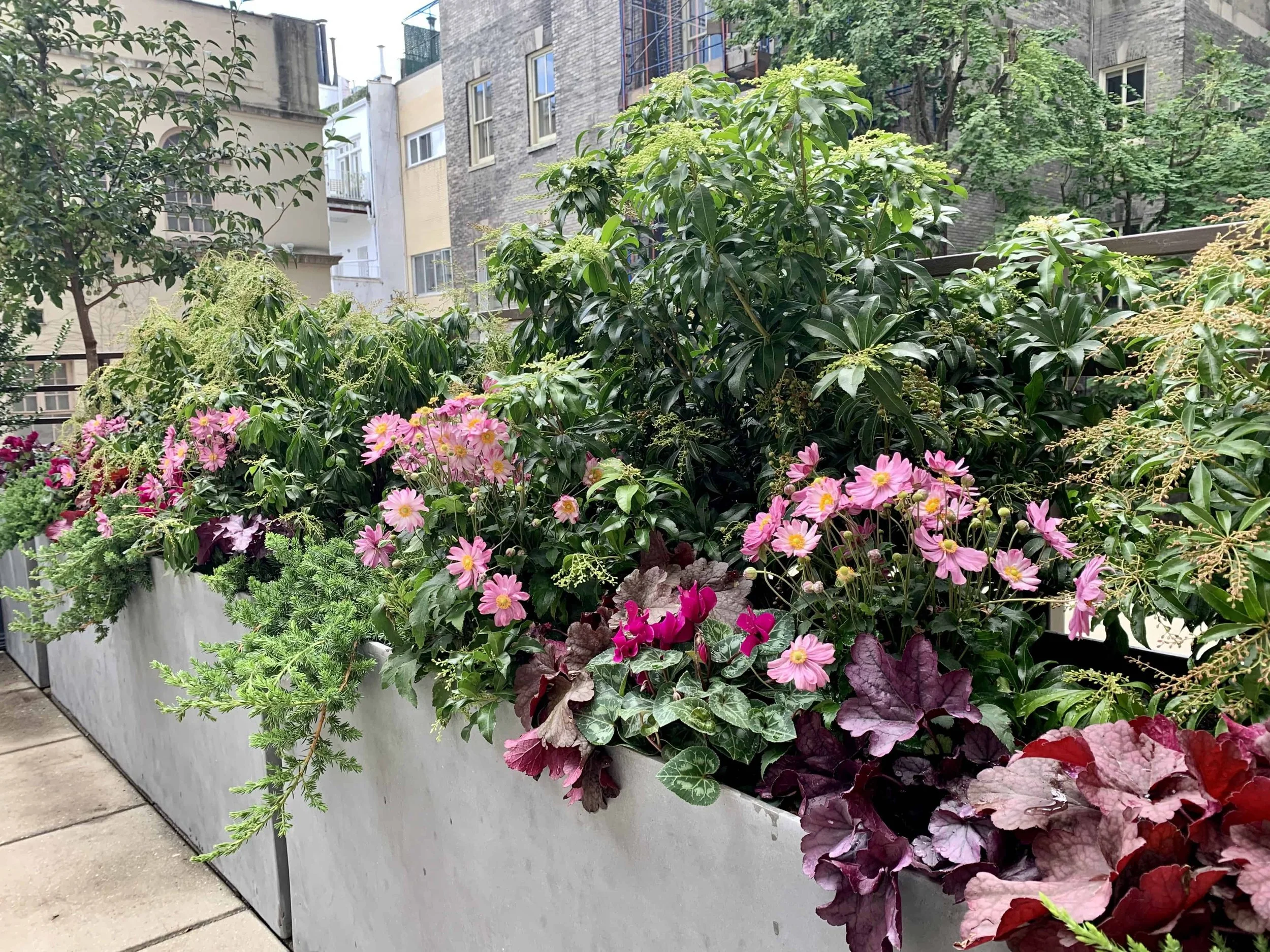 Fifth Avenue Penthouse Terrace Garden at Fasano New York Overlooking ...