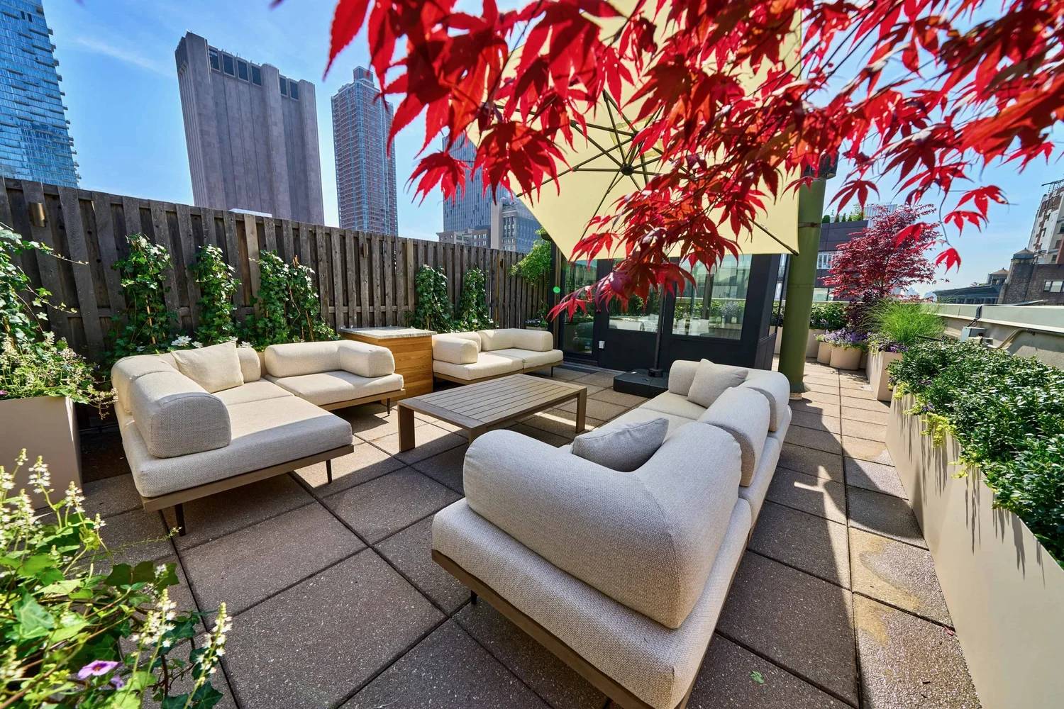 Tribeca Rooftop Garden — Birch & Basil Design