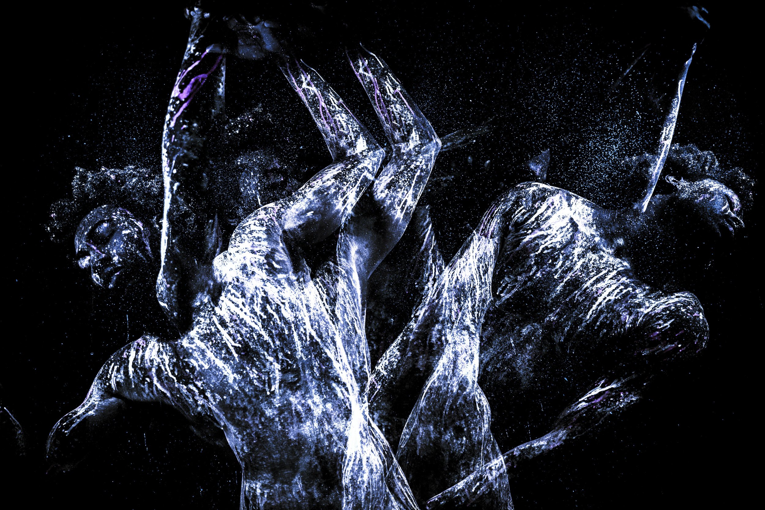 Anatomy of the Human - Photography — Rainbow Serpent