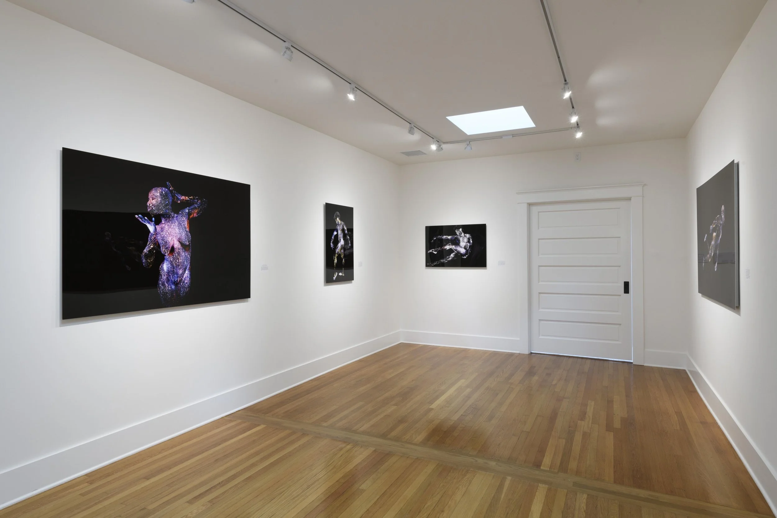 Iris Project Gallery - Reconstructing the Primordial House — Rainbow ...