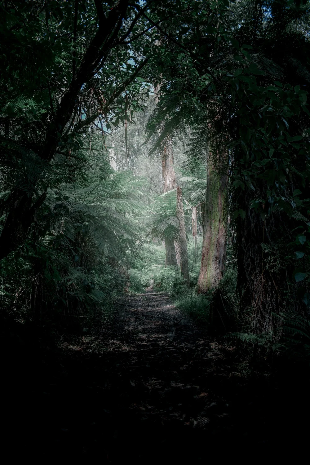 Discover The Hidden Gem Of Fergus: Just 8 Minutes From Elora's Beauty ...